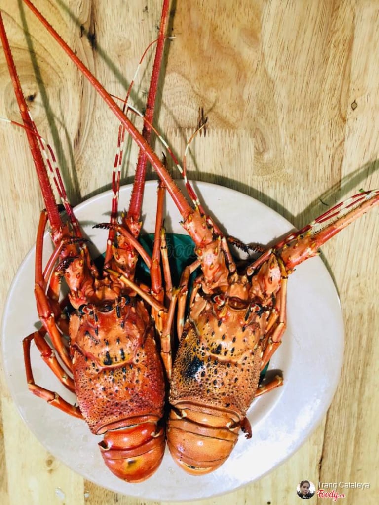Top 15 món ăn chế biến từ tôm hùm xanh ngon bá cháy - Limoki Corp