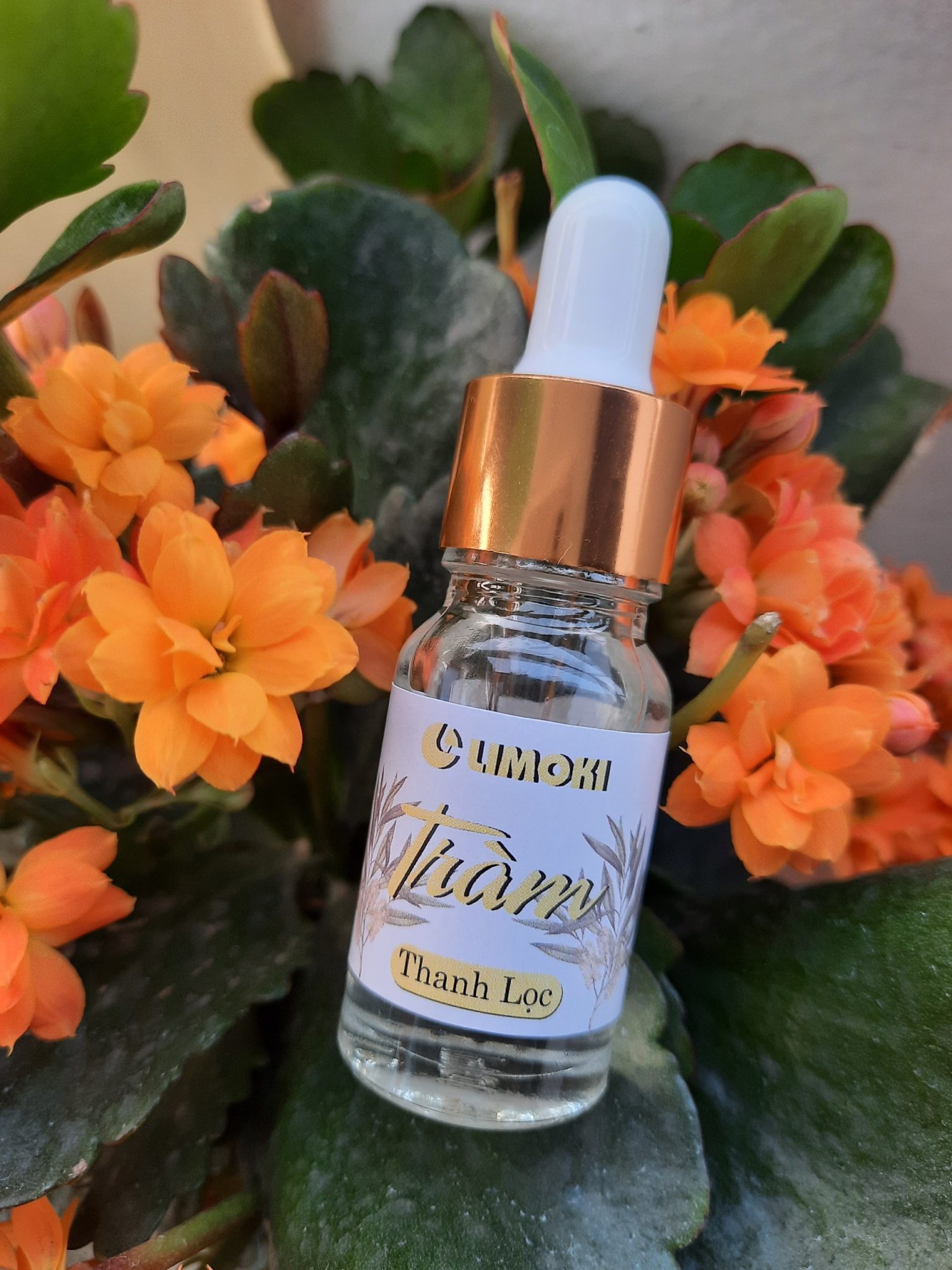 Tinh Dầu Tràm Gió Cajeput 10ml - Limoki Corp