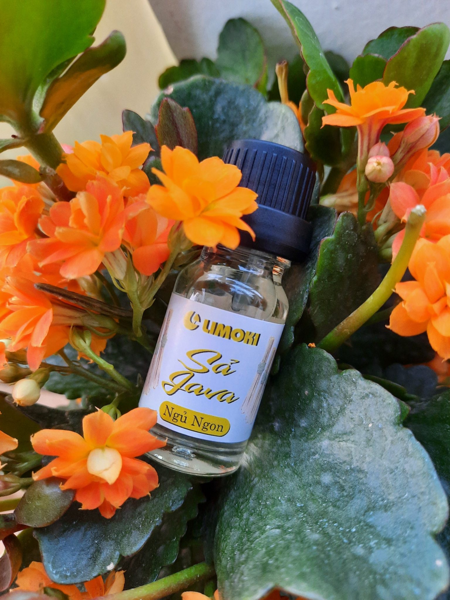 Tinh Dầu Sả Java 10ml - Limoki Corp